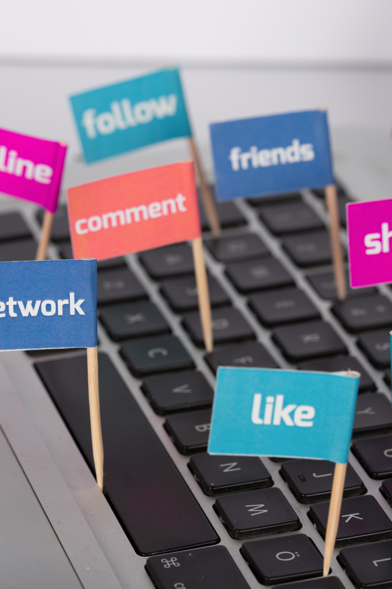 How to Gain More Followers – Naturally Created Wholesale